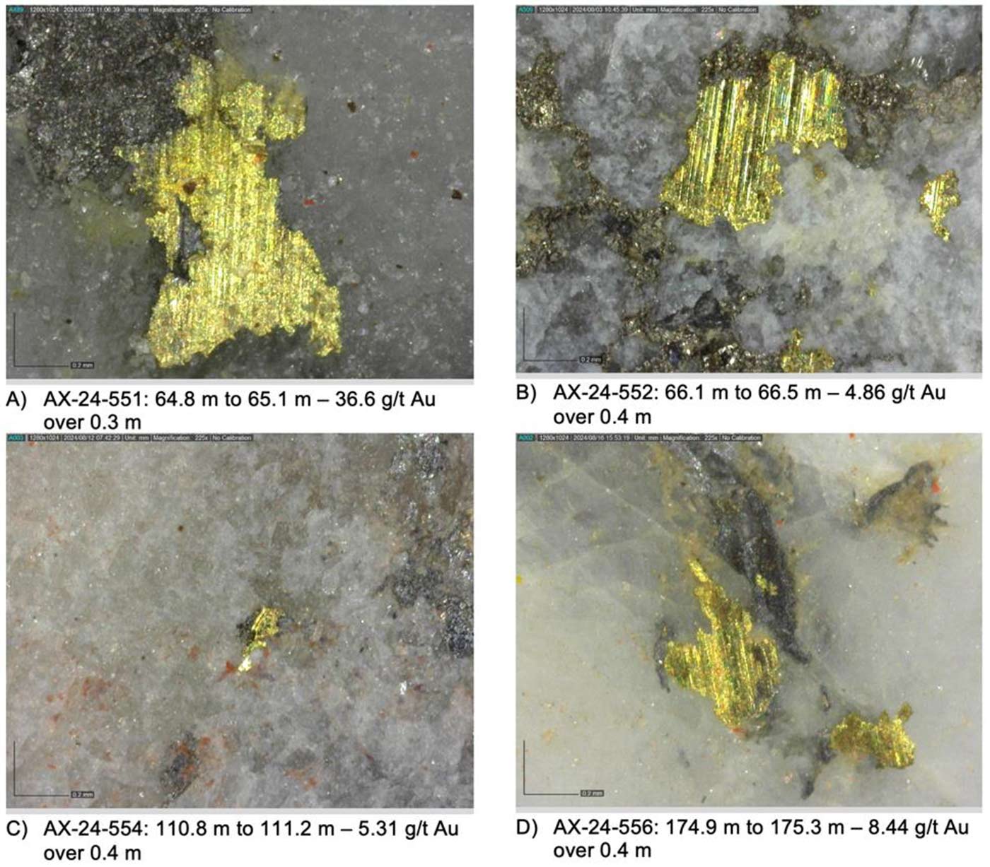 Banyan Hitting Consistent Gold Intervals: Next Stage of Drilling Up Next