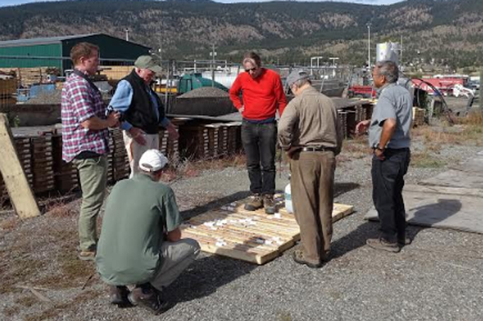 Multiple Rigs Turning on Underexplored Canadian Gold Belt