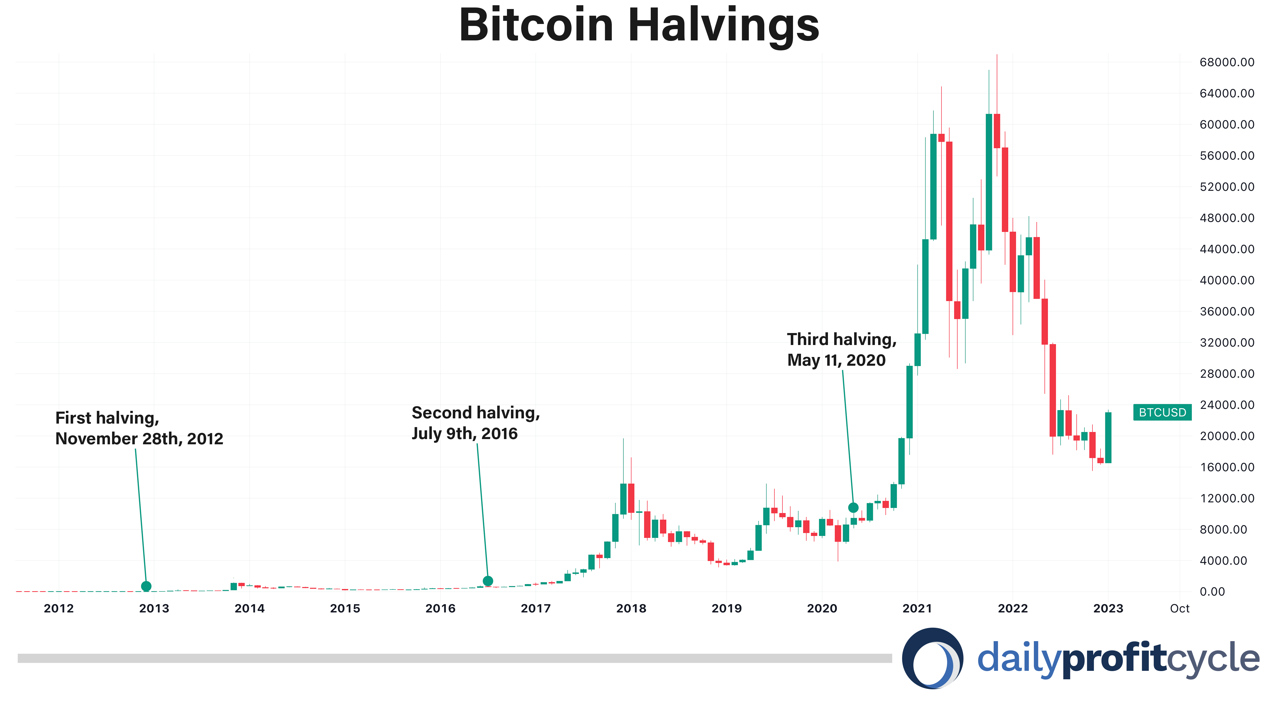 Crypto Investing for Beginners - Daily Profit Cycle